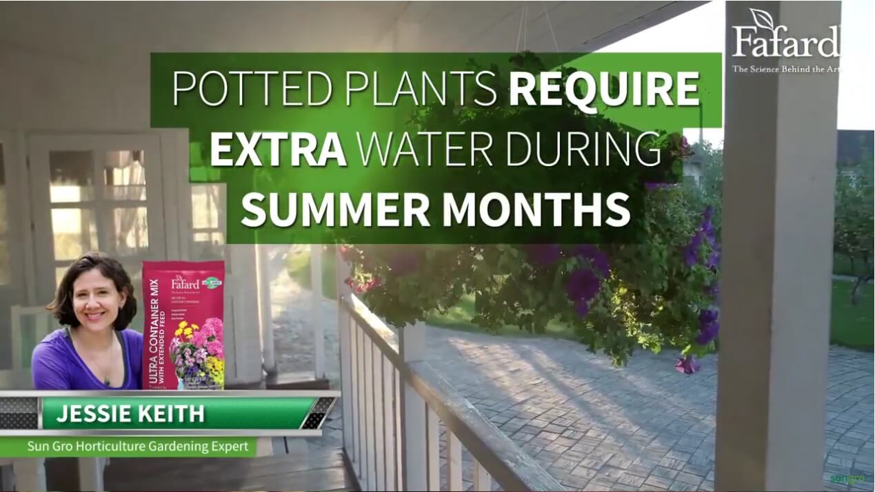 Fafard Fafard® Ultra Container Mix with Extended Feed - Fafard