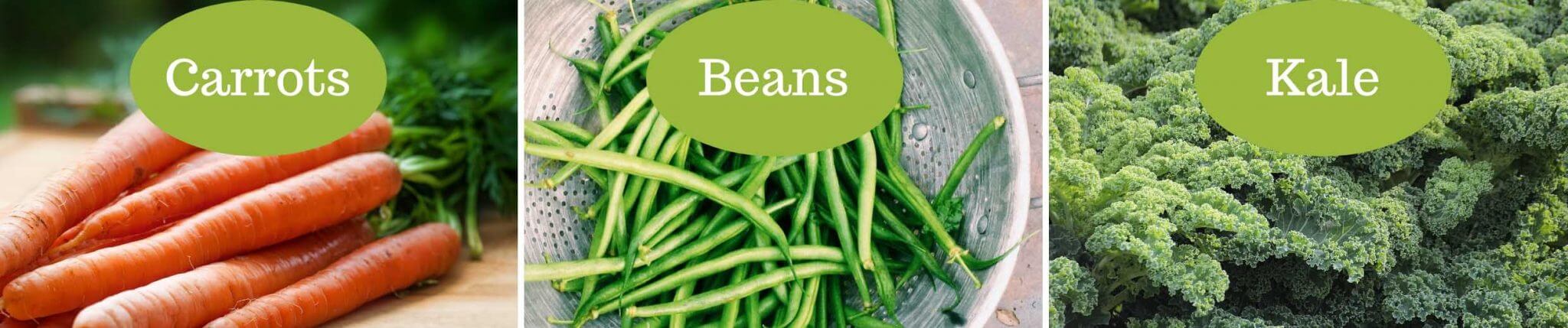 Spring to Fall Vegetable Rotation Planting for Non-stop Garden Produce ...