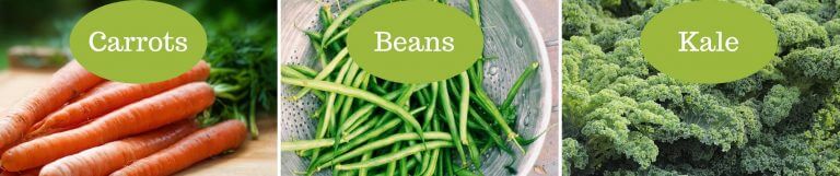 Spring to Fall Vegetable Rotation Planting for Non-stop Garden Produce ...