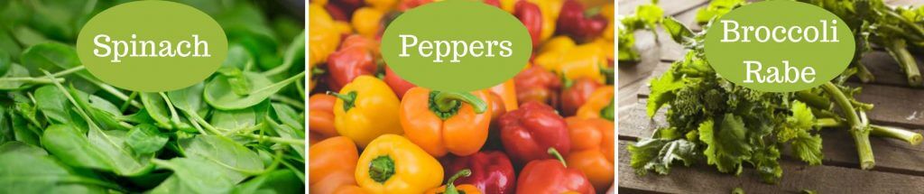 Spring to Fall Vegetable Rotation Planting for Non-stop Garden Produce ...