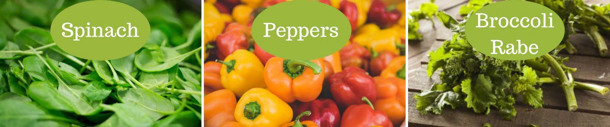 Spring to Fall Vegetable Rotation Planting for Non-stop Garden Produce ...