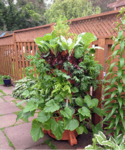 Vertical Gardens for Space-Saving Vegetable Gardening – Fafard