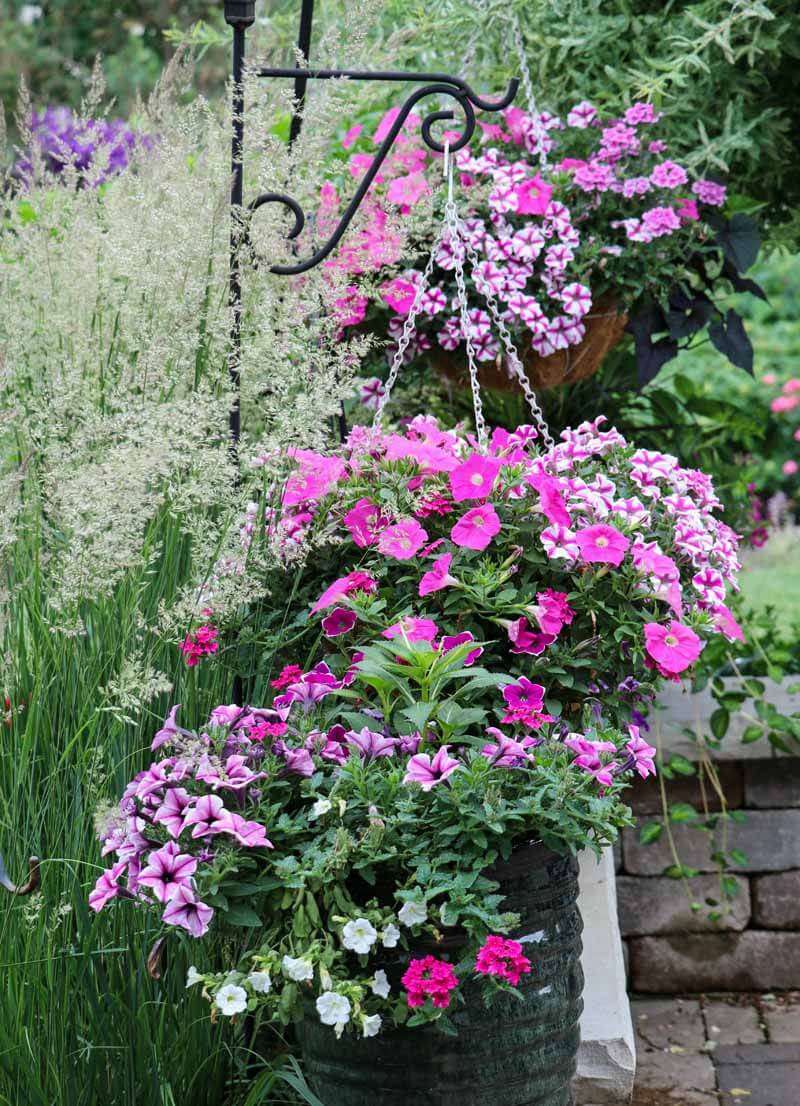 Ten Tips for Beautiful Container Gardens – Fafard