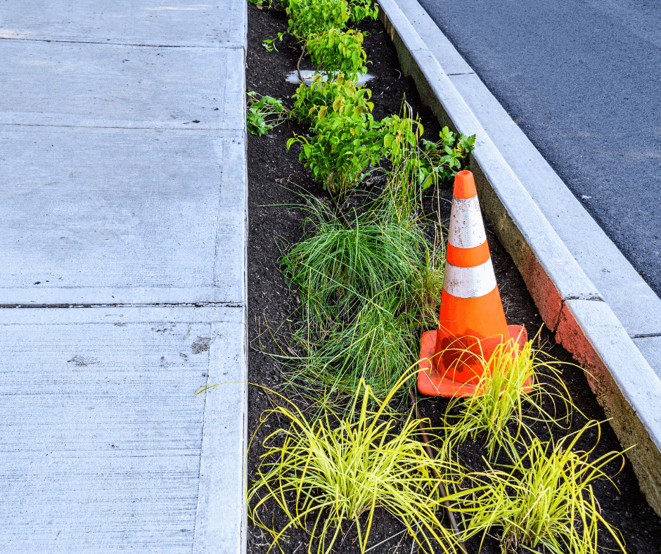 Native Hellstrip Gardens – Fafard