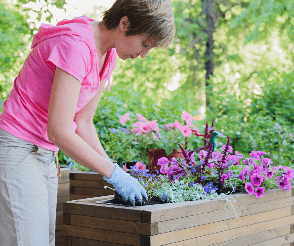 Spring Container Garden Tips – Fafard