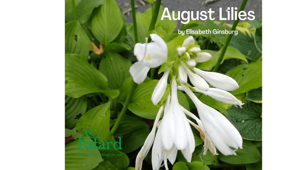 Garden Articles – Fafard